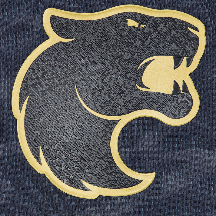 FURIA FUTURE IS BLACK 24 JERSEY – FURIA US